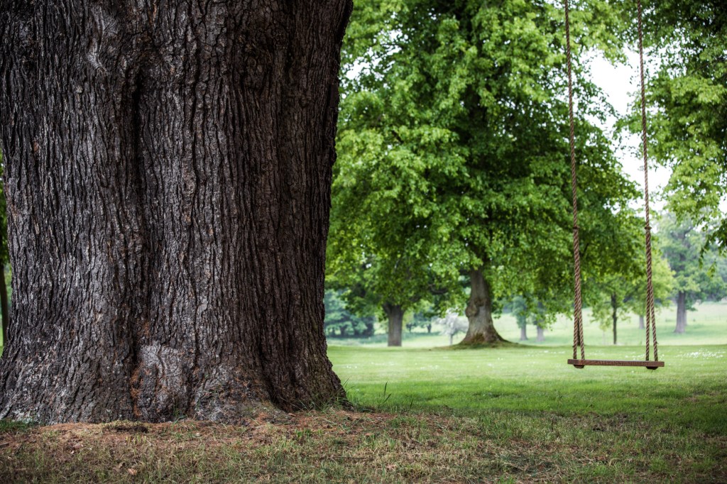 Garden | Ditchingham Estate