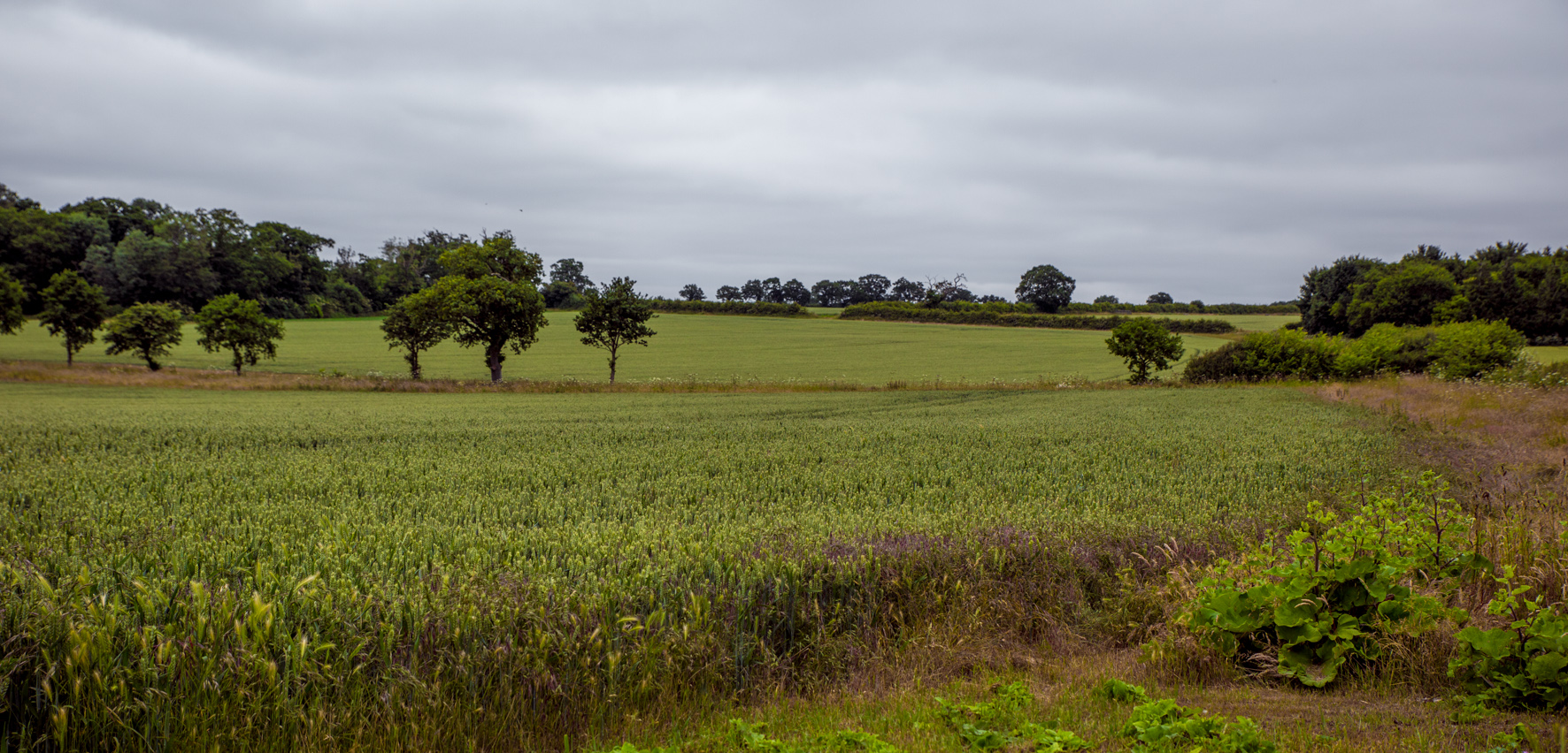 Farm | Ditchingham Estate