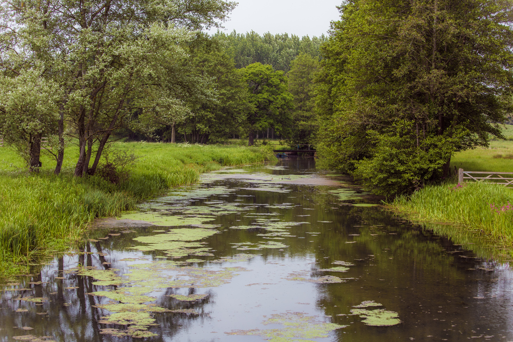 Park and Landscape | Ditchingham Estate