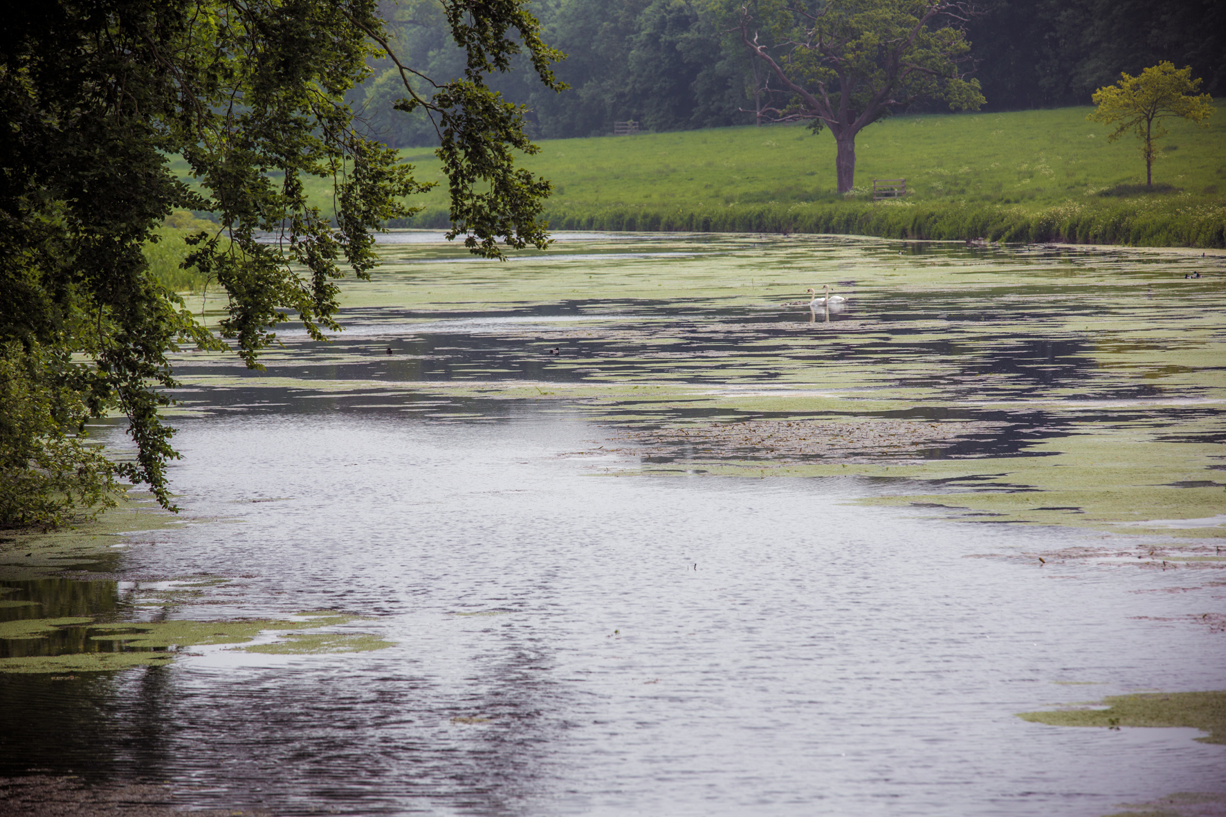 Park and Landscape | Ditchingham Estate
