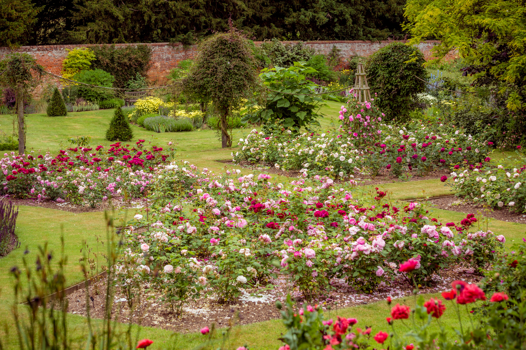 Garden | Ditchingham Estate
