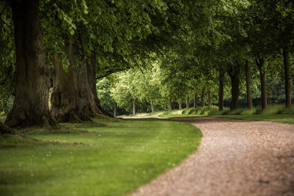 Park and Landscape | Ditchingham Estate