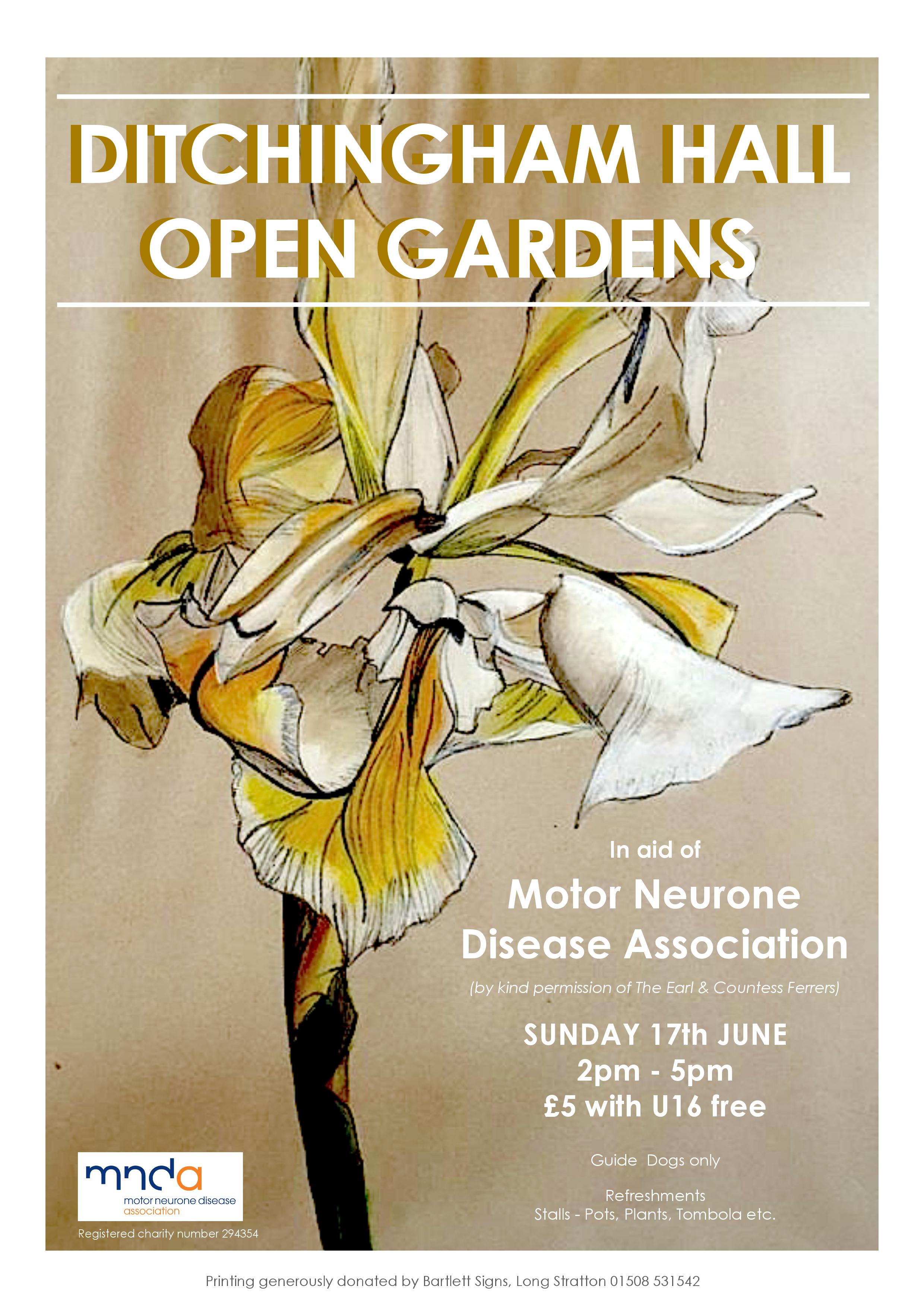 Option 4.3 jpeg MNDA | Ditchingham Estate